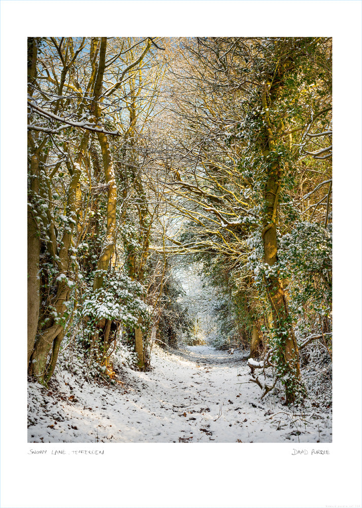 snowy lane poster – purdie gallery